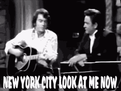 New York City Neil Diamond GIF | GIFDB.com