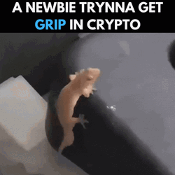 Newbie Dancing Lizard Trying Grip In Crypto GIF | GIFDB.com