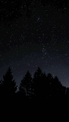 Night Sky Dark Trees GIF | GIFDB.com