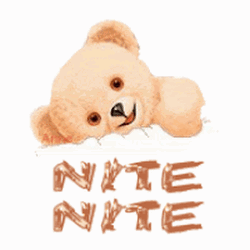 Nite Nite Sleep Tight Cute White Kitty GIF | GIFDB.com