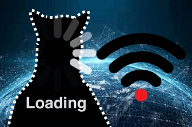 No Internet Loading Cat Image GIF | GIFDB.com