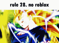 No Roblox Rule 28 Goku Meme GIF | GIFDB.com