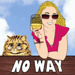 No Way GIFs | GIFDB.com