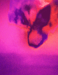 Northern Lights On Red Screen GIF | GIFDB.com