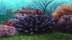 Nosy Fish From Finding Nemo Disney GIF | GIFDB.com