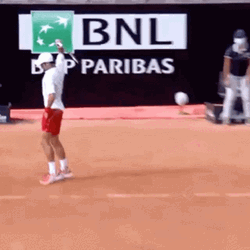 Novak Djokovic Racquet Smash Pickleball Meme GIF | GIFDB.com
