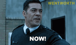 Now 498 X 294 Gif GIF | GIFDB.com