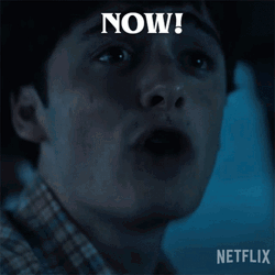 Now 498 X 498 Gif GIF | GIFDB.com