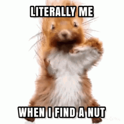 Literally Me When I Find A Nut GIF | GIFDB.com