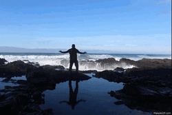 Ocean Wave Wet Man Standing GIF | GIFDB.com