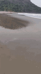 Ocean Waves Reaching Shoreline GIF | GIFDB.com