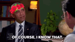 Ofcourse I Know That Barack Obama GIF | GIFDB.com
