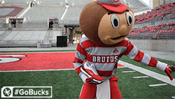 Ohio State Meme Buckeyes Football Team Mascot GIF | GIFDB.com