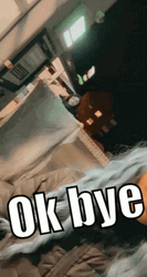 Ok Bye Scared Ghost Curtain Meme GIF | GIFDB.com