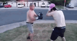 Old Men Fighting A Boxer GIF | GIFDB.com