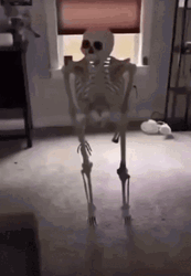 Omg Skeleton Falling Down Meme GIF | GIFDB.com