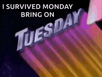 On A Tuesday Survived Monday Meme GIF | GIFDB.com