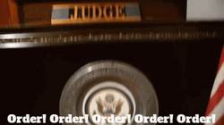Order Judge Hitting Gavel GIF | GIFDB.com
