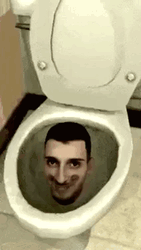 Ordinary Skibidi Toilet Meme GIF | GIFDB.com