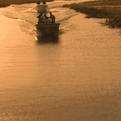 Outer Banks Summer Adventure GIF | GIFDB.com