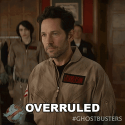 Overruled Paul Rudd GIF | GIFDB.com