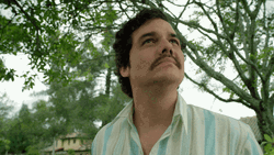 Pablo Escobar Looking Up GIF | GIFDB.com