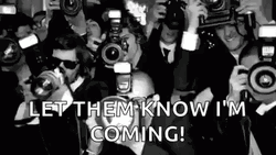 Paparazzi Camera Flash Meme GIF | GIFDB.com