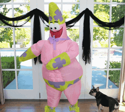 Patrick Cosplay Floss Dance GIF | GIFDB.com