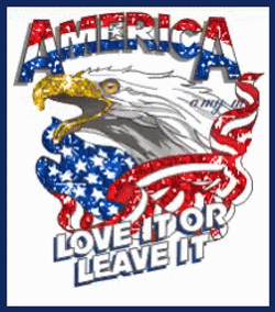 Patriotic Love Or Leave It GIF | GIFDB.com