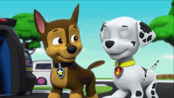 Paw Patrol Team Dance GIF | GIFDB.com