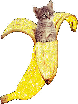 Peacefully Sitting On Top Of Banana Cat Meme GIF | GIFDB.com