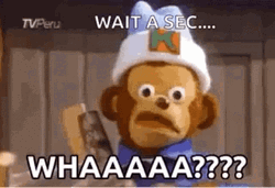 Pedro Puppet Monkey Astonished Meme GIF | GIFDB.com