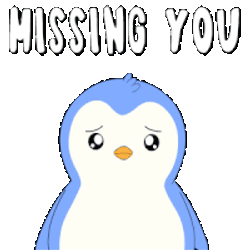 Pengu Pudgy Sticker GIF | GIFDB.com