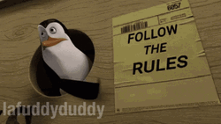 Follow The Rules