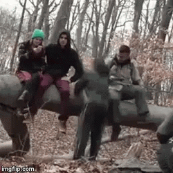 People Falling Massive Forrest Log GIF | GIFDB.com