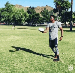 Perfect Punt Kick GIF | GIFDB.com