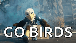 Philadelphia Eagles Swoop Go Birds GIF | GIFDB.com