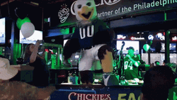 Philadelphia Eagles Swoop Performing GIF | GIFDB.com