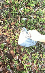 Picking Up Dog Poop With Plastic Bag GIF | GIFDB.com