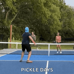 Pickleball Pickle Day Missed Shot Meme GIF | GIFDB.com