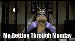 Pig Made It Through Monday GIF | GIFDB.com