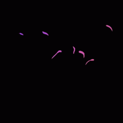 Pink Word Text GIF | GIFDB.com