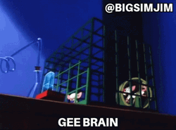 Pinky And The Brain Gee Brain Meme GIF | GIFDB.com