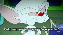 Pinky And The Brain What I'm Pondering GIF | GIFDB.com