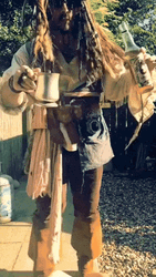 Pirate Old Dj Spiced Rum GIF | GIFDB.com