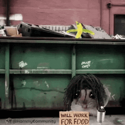 Pity Sad Hamster GIF | GIFDB.com