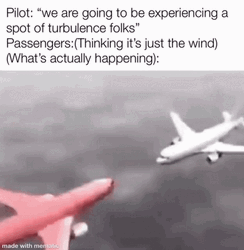 Plane Kiss Turbulence Wind GIF | GIFDB.com