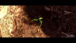 Plant Slowly Growing GIF | GIFDB.com