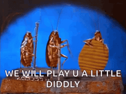 Playing Music Dancing Cockroach GIF | GIFDB.com