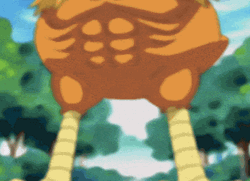 Pokemon Buff Torchic Meme GIF | GIFDB.com